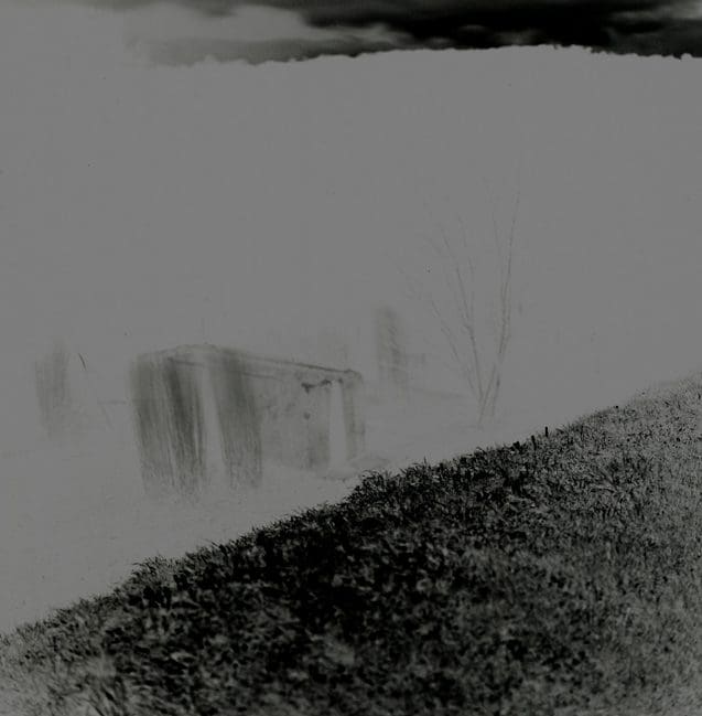 Fleur Olby - Dig Delve – An online magazine about gardens, landscape ...