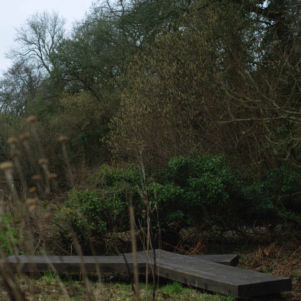 Fleur Olby - Dig Delve – An online magazine about gardens, landscape ...