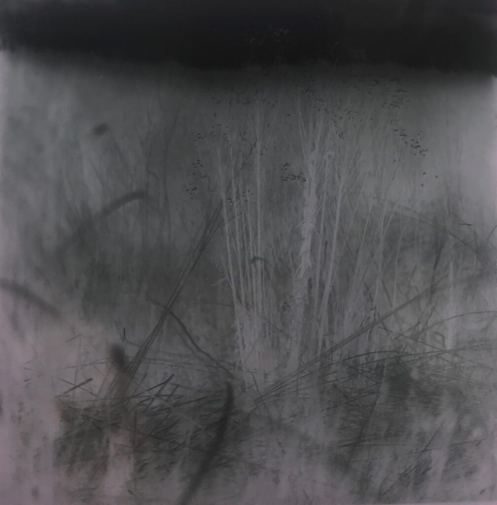 Fleur Olby - Dig Delve – An online magazine about gardens, landscape ...