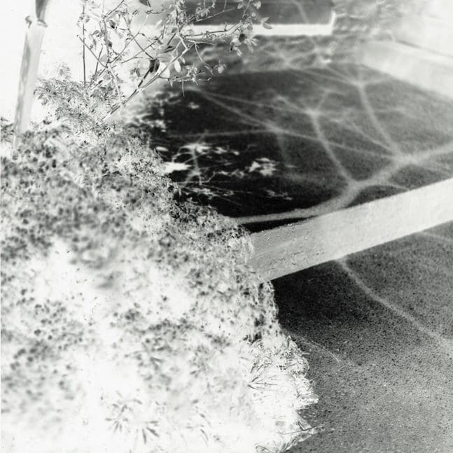 Fleur Olby - Dig Delve – An online magazine about gardens, landscape ...